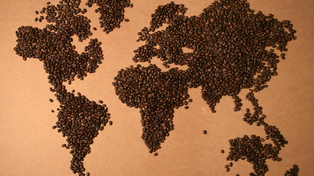 9 Páginas Sobre Café | ¡La última es la mejor!